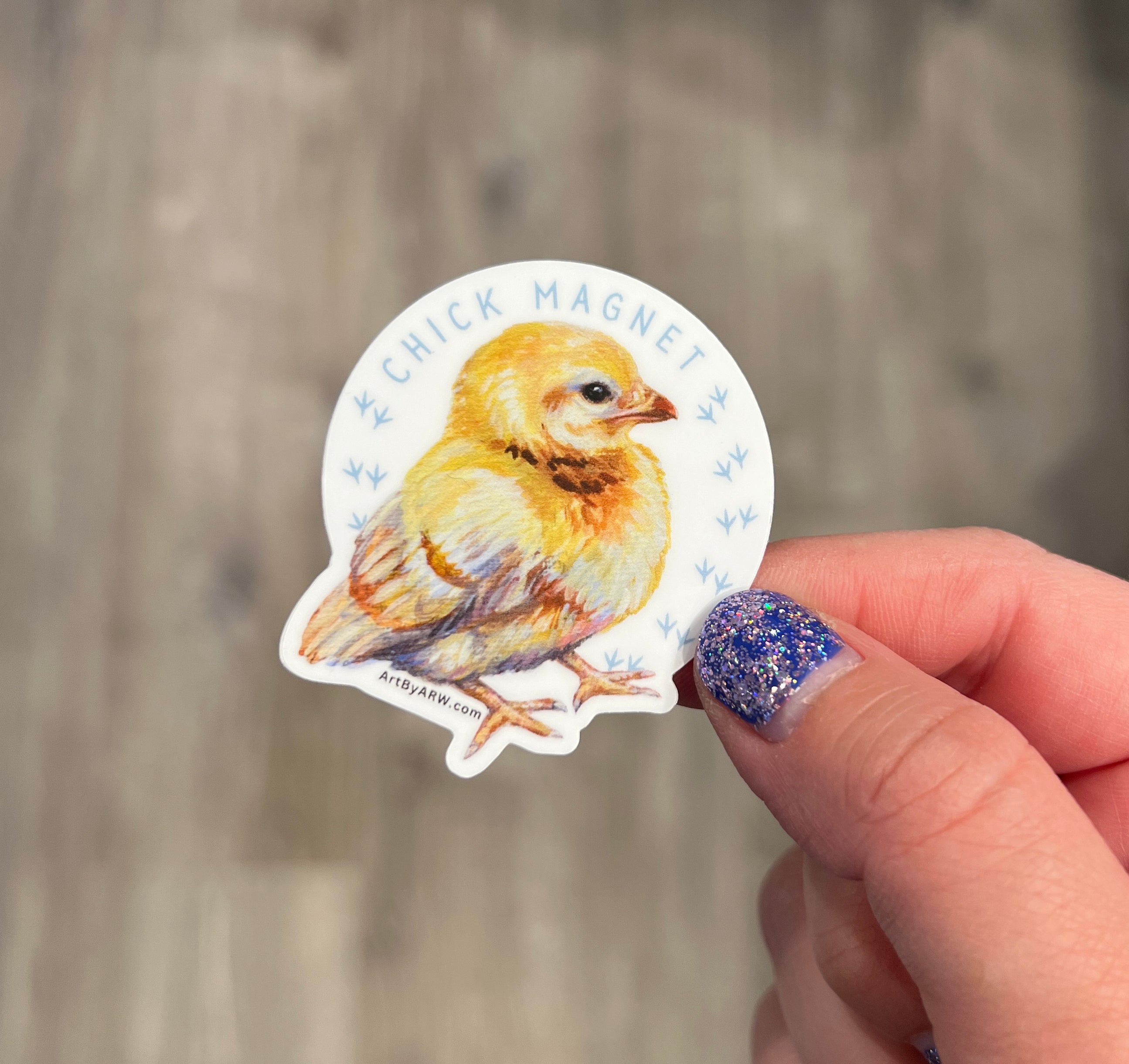 Chick Magnet Mini Waterproof Sticker– Amanda Rose Warren LLC